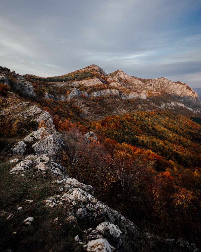 Bulgaria | Countries | Biodiversity Information System for Europe