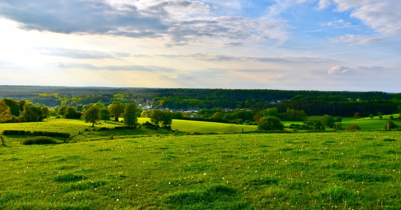 Heathlands, shrubs and sparsely vegetated lands