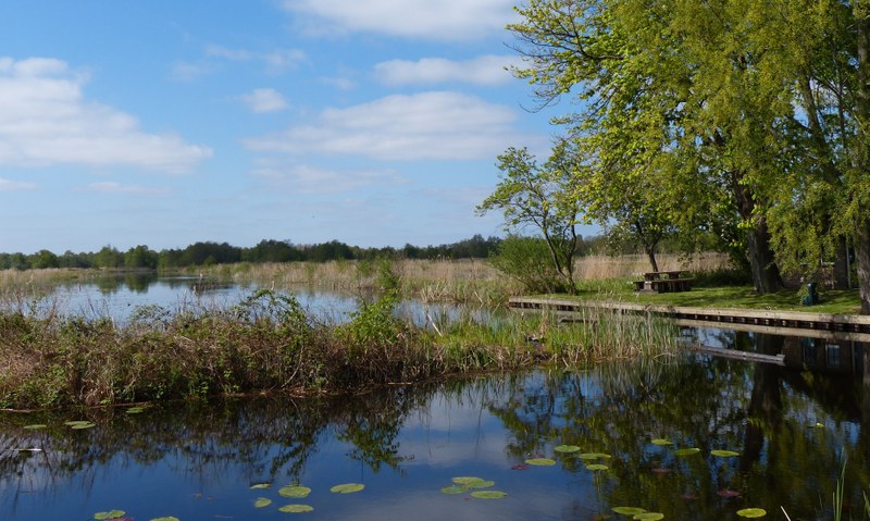 Wetlands | Biodiversity Information System for Europe