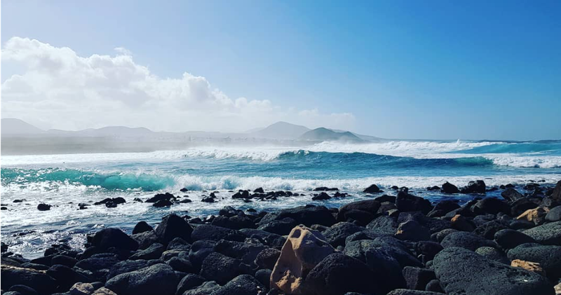 Nature restoration | Biodiversity Information System for Europe