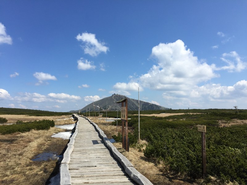 Green infrastructure | Biodiversity Information System for Europe